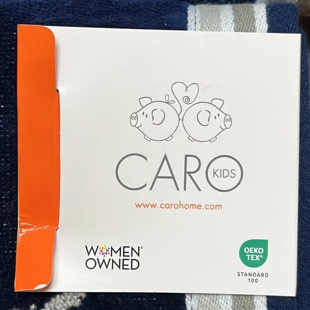 Caro Kids | Bath | Caro Dinosaurs Bath Hand Towel Set 2 Nwt Firm Last ...